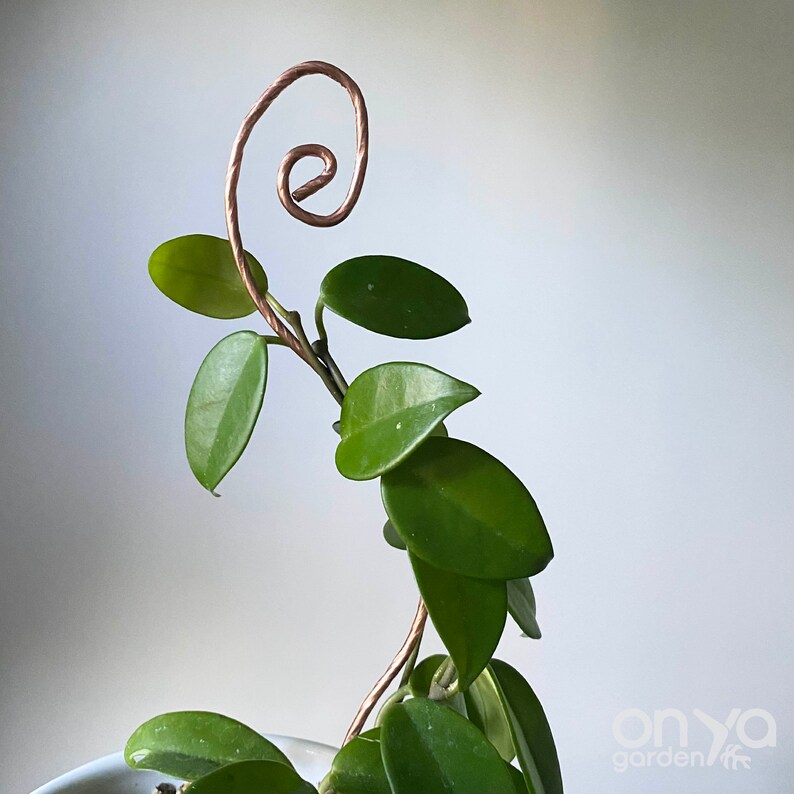 Copper Swirl Plant Stick Curved Plant Stem Supporter House | Etsy