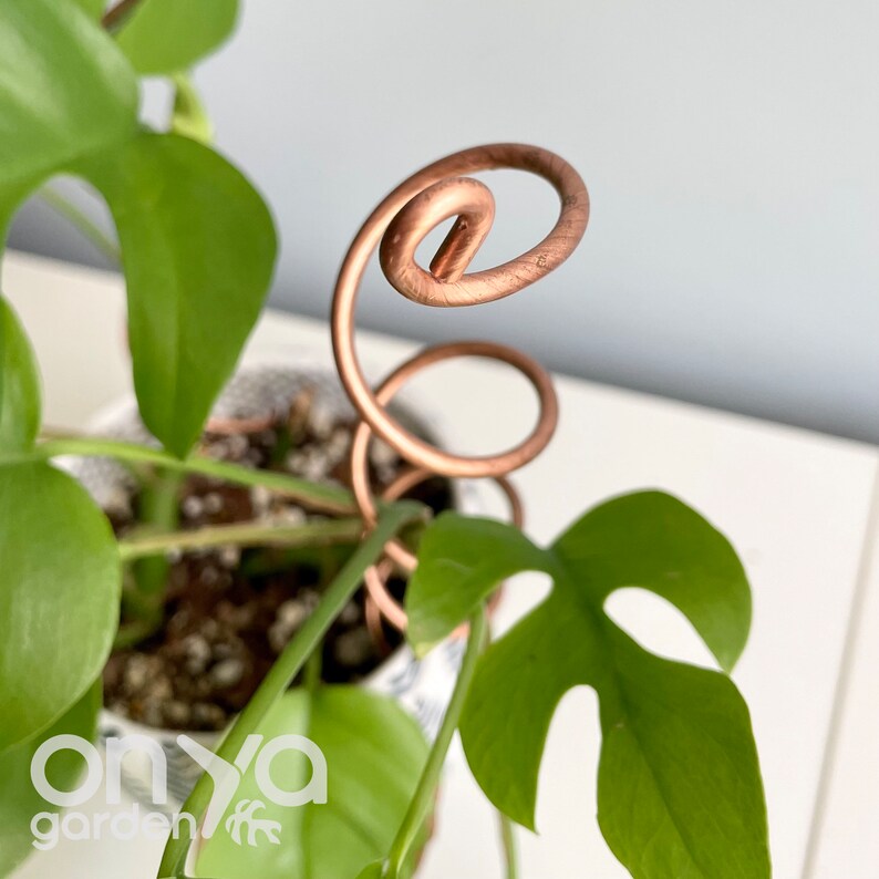 Copper Spiral Plant Sticks, Spiral Plant Stem Supporters, Metal Plant ...