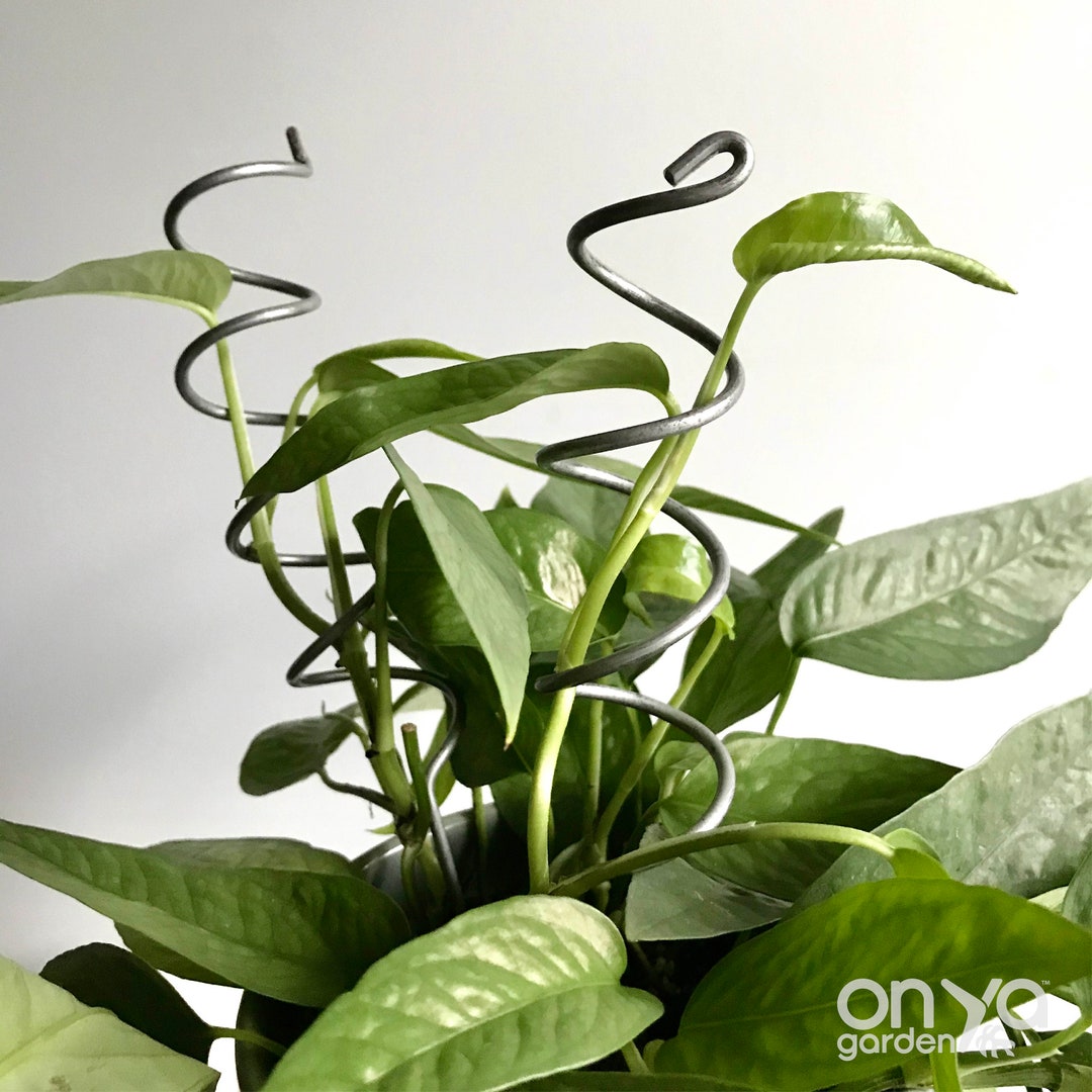 Steel Spiral Plant Sticks, Plant Stem Supporters, Set of 2, Spiral ...