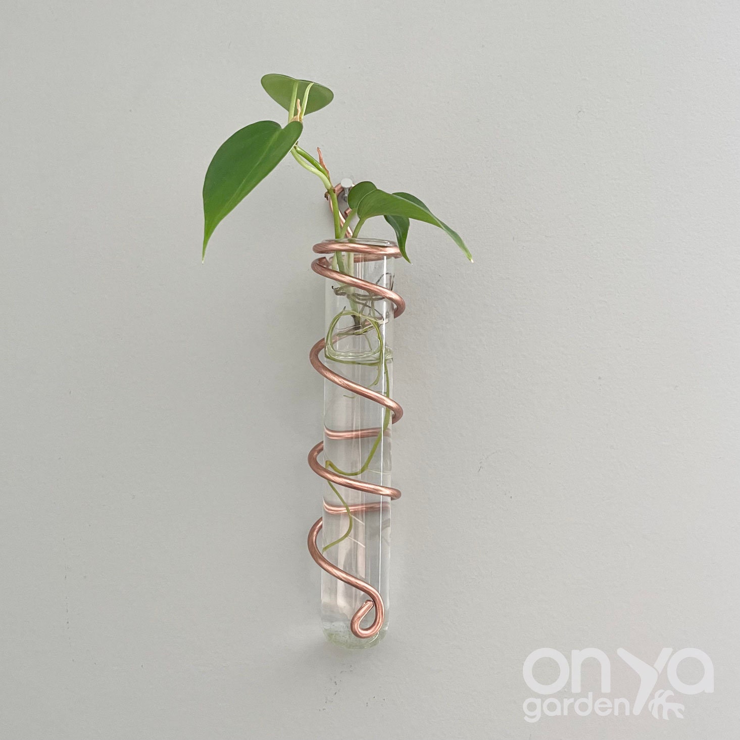 Copper Spiral Propagation Hanger, Propagation Station for Plant ...