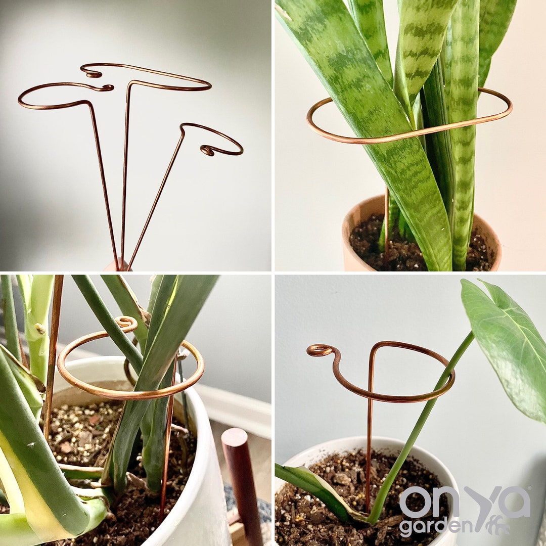 Copper Track & Hook Plant Sticks, Modern Plant Supports, Minimalist ...