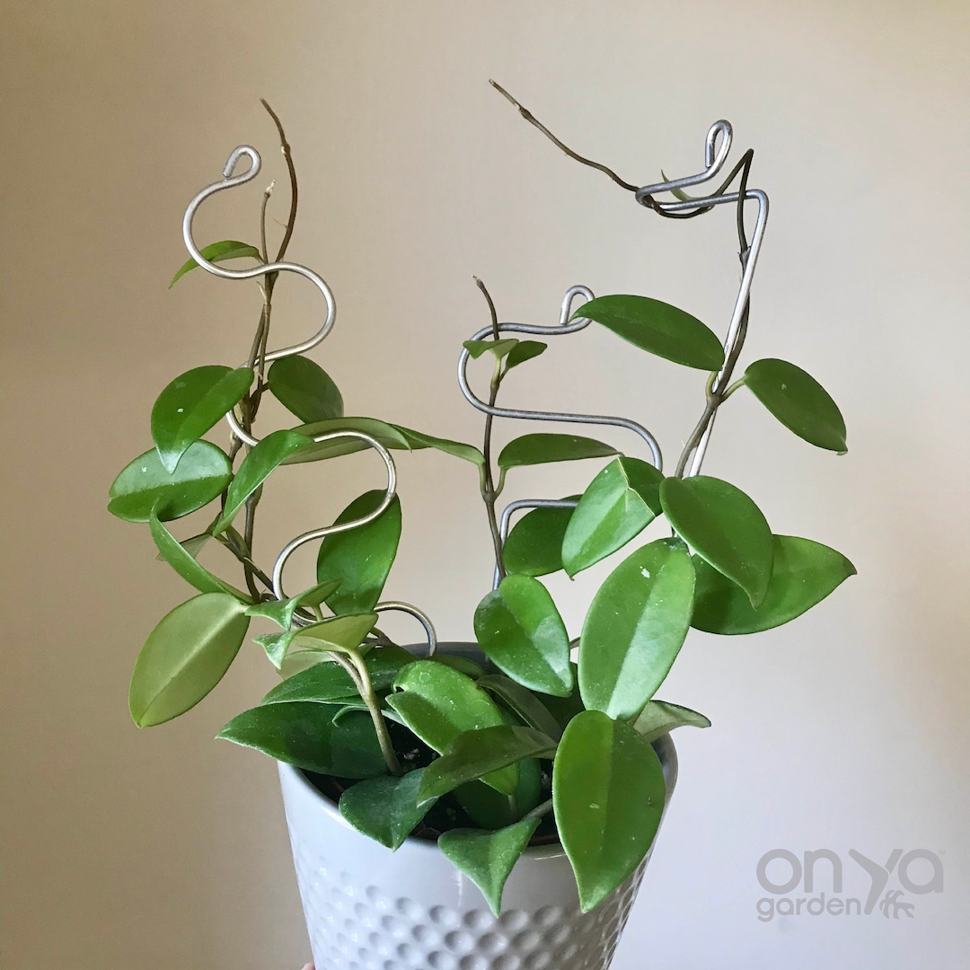 Steel Plant Sticks for Indoor House Plants, Set of 3, Decorative Plant ...