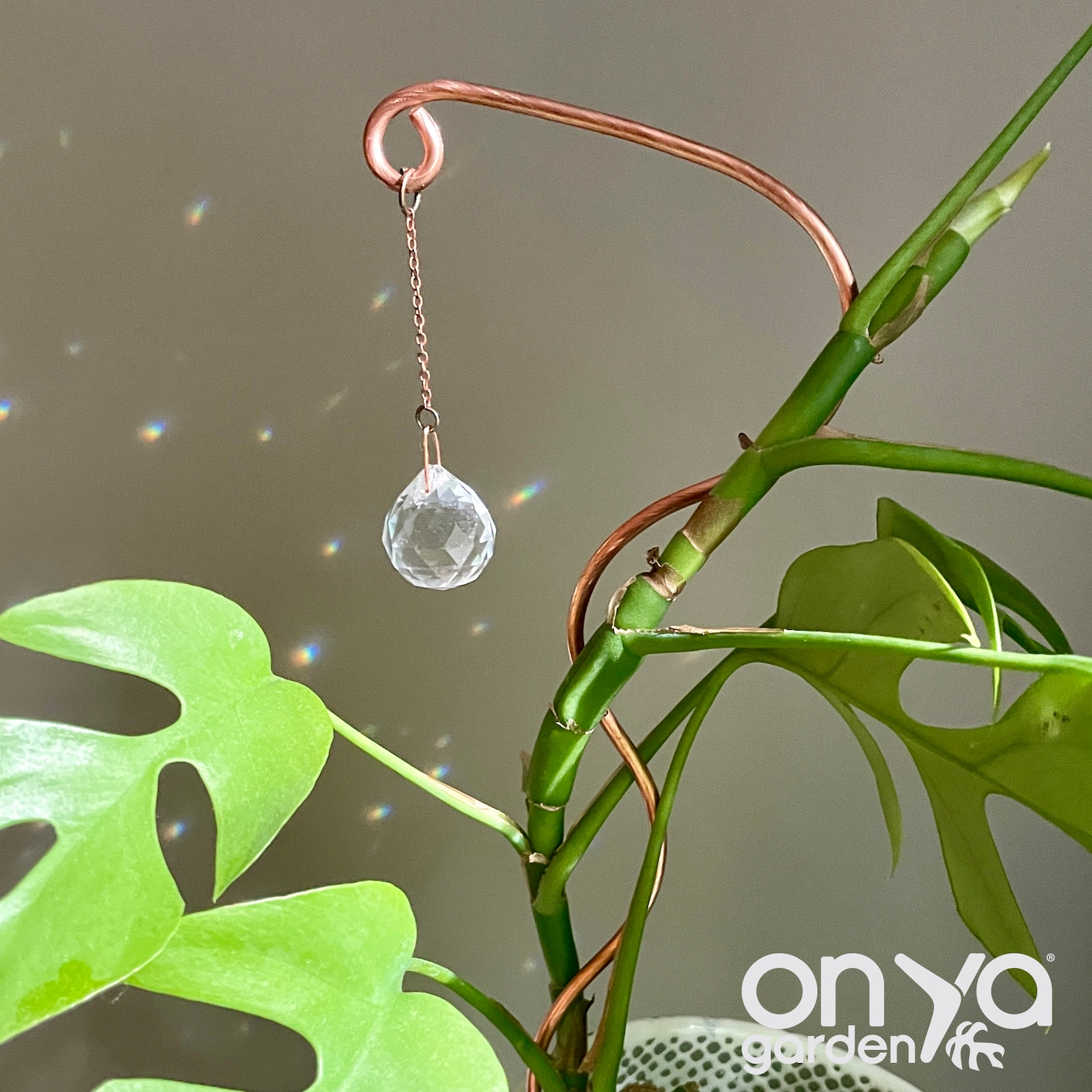 Modern Suncatcher Stake, Sun Catcher Plant Stick, Minimalist Crystal ...