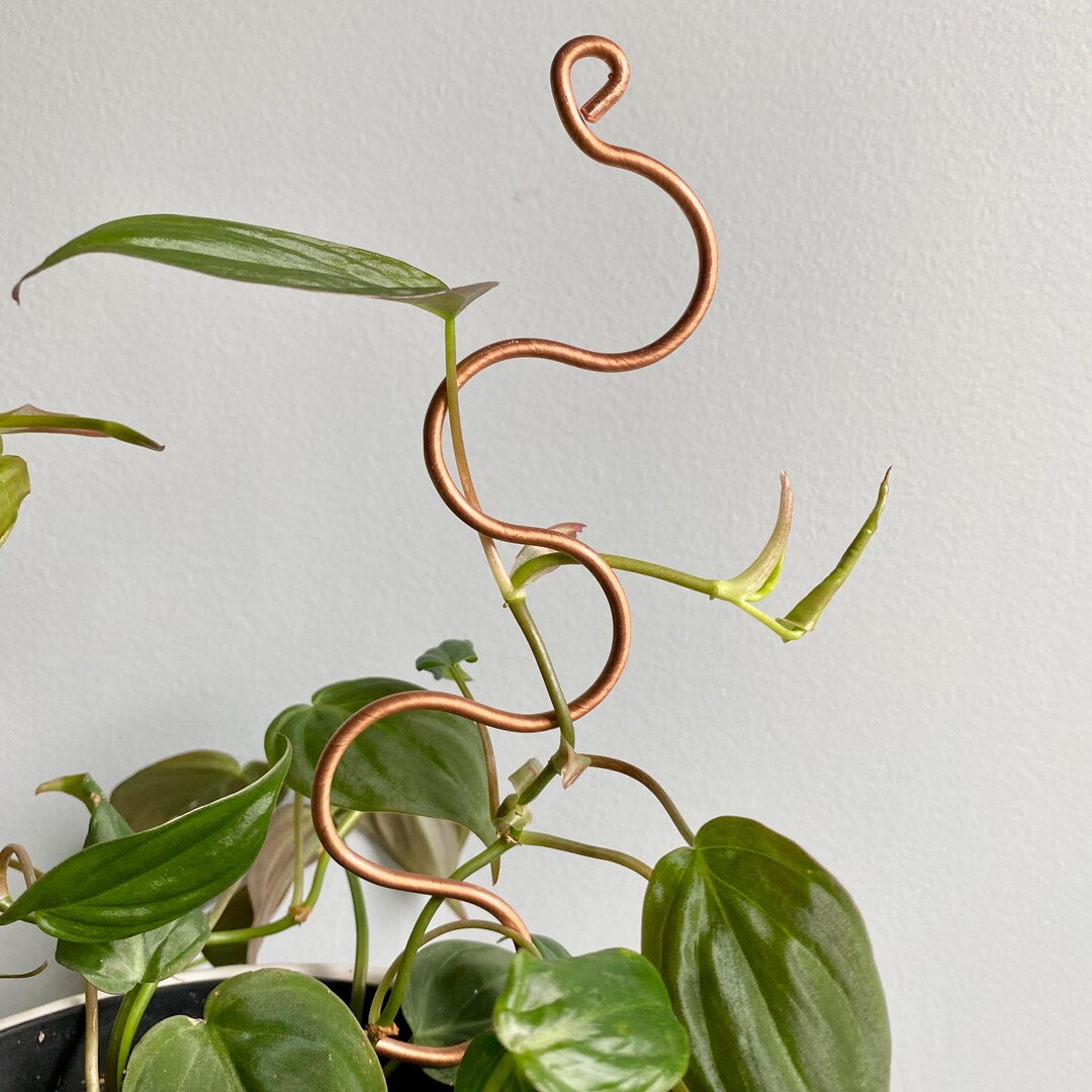 Copper Serpent Plant Stake, Curvy Plant Support, Hoya Plant Stick ...