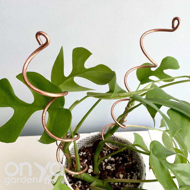 Copper Spiral Plant Sticks, Spiral Plant Stem Supporters, Metal Plant ...
