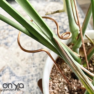 Copper Track & Hook Plant Sticks, Modern Plant Supports, Minimalist ...