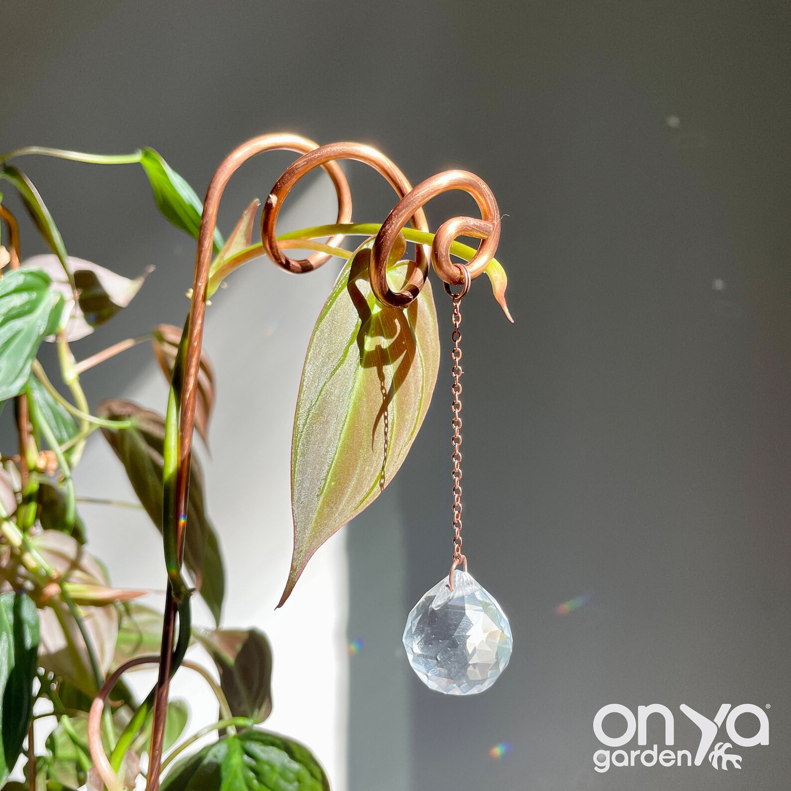 Modern Suncatcher Stake, Sun Catcher Plant Stick, Minimalist Crystal ...
