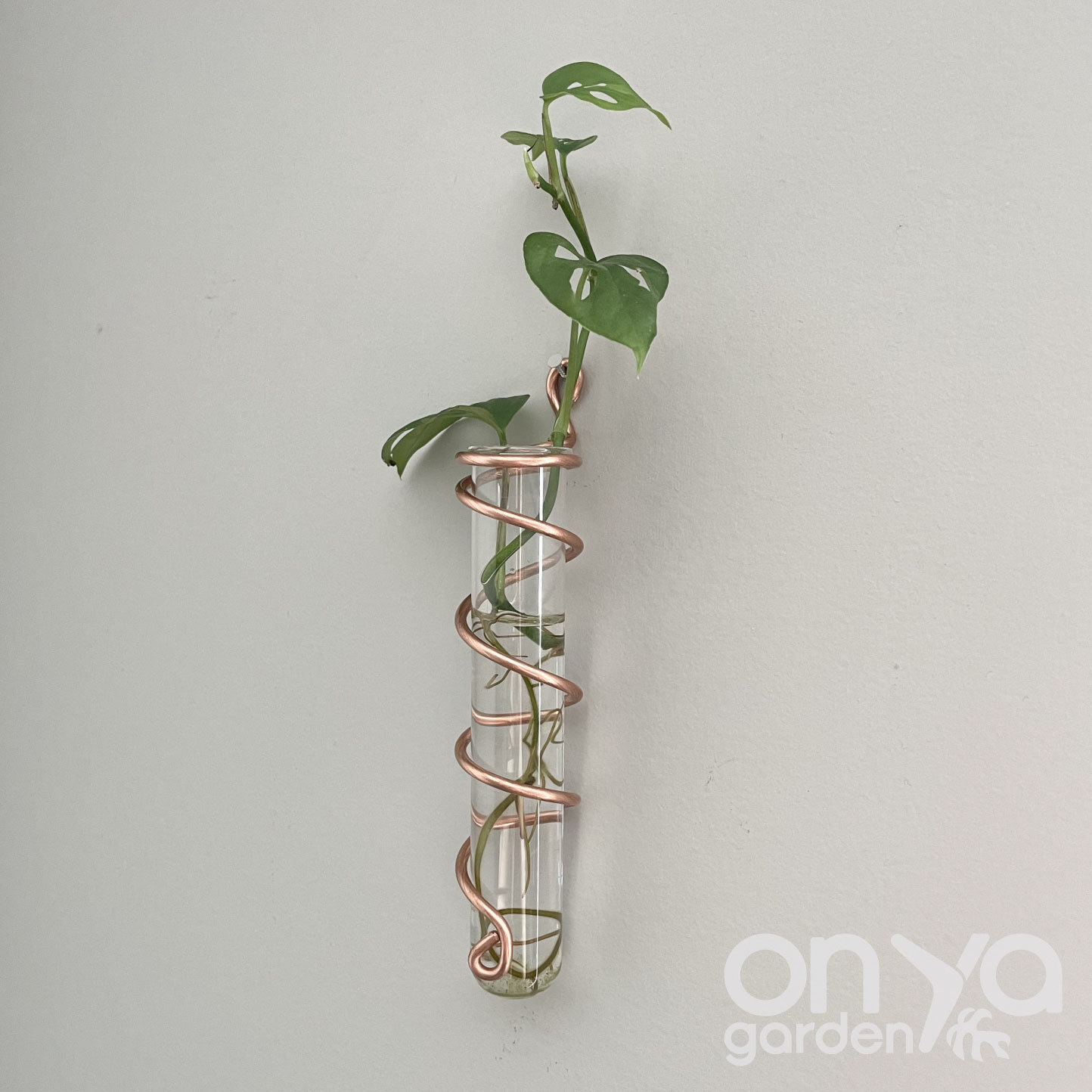 Copper Spiral Propagation Hanger, Propagation Station for Plant ...