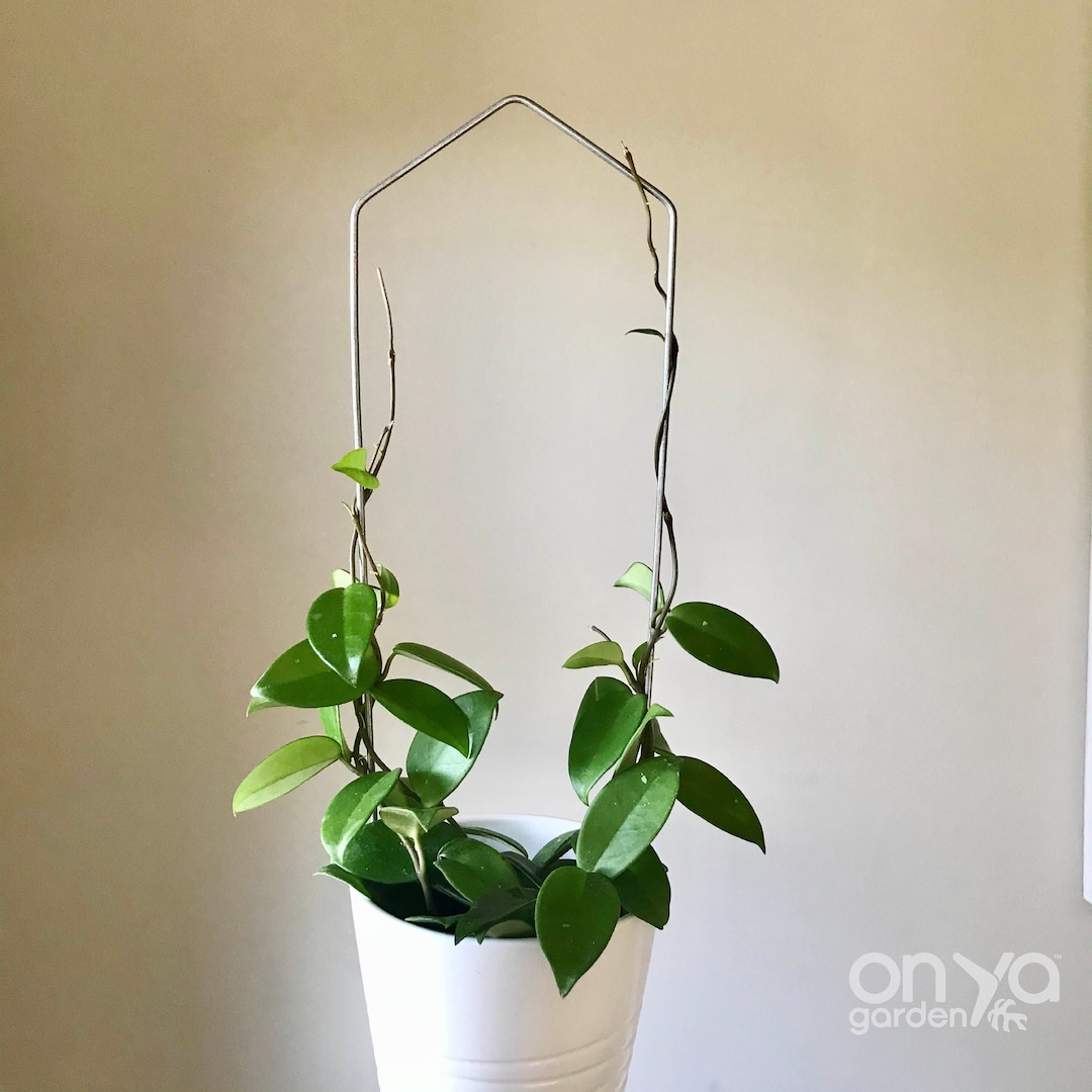 Steel Pointed Arch Trellis, Pointed Arch Plant Support, Steel Trellis ...