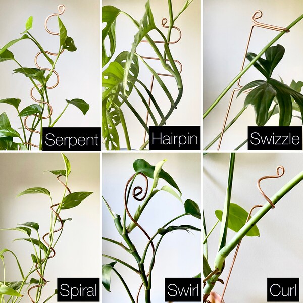 Large Plant Stakes - Etsy