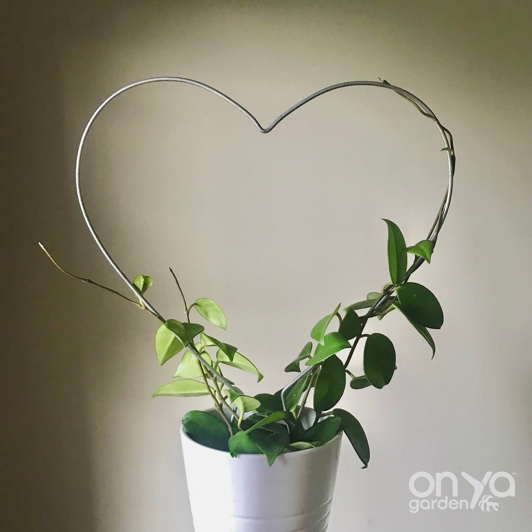 Steel Heart Trellis, Heart Plant Trellis, House Plant Trellis, Plant ...