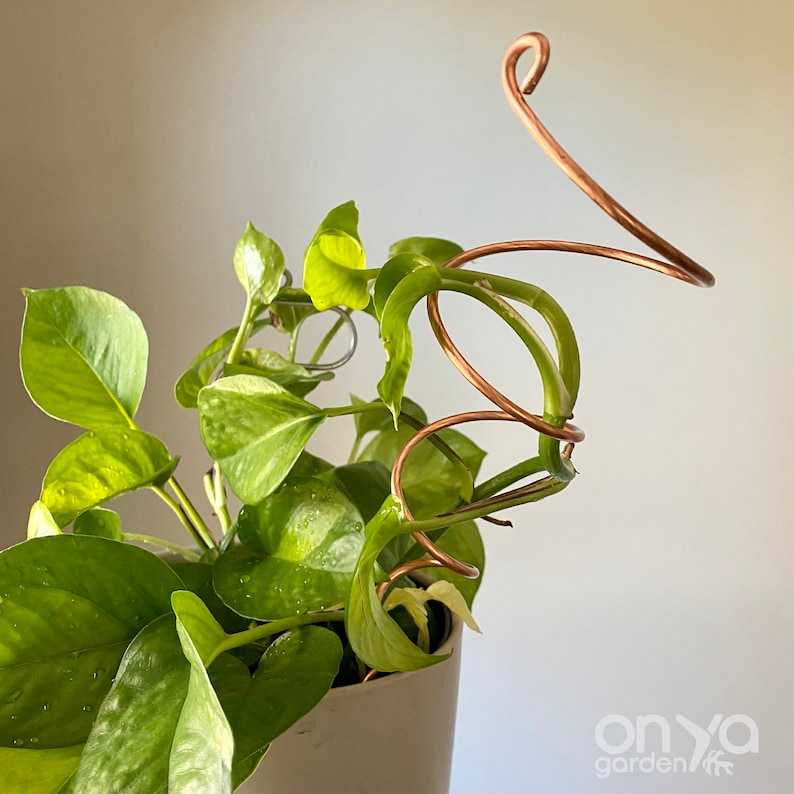 Spiral Plant Supports, Copper Twirl & Whirl Plant Sticks, Decorative ...