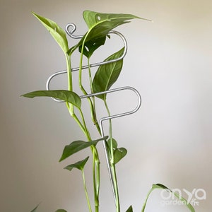 Steel Large Plant Stick, Tall Plant Supports, Metal Plant Stakes, Stem ...