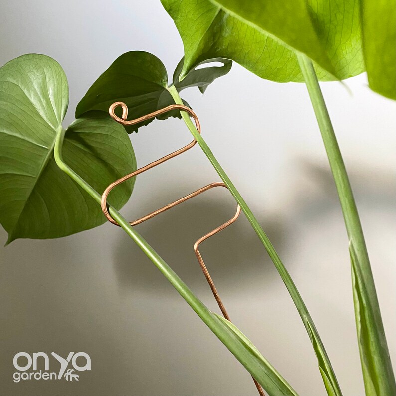 Long Plant Sticks Copper Large Plant Stick Decorative Plant - Etsy