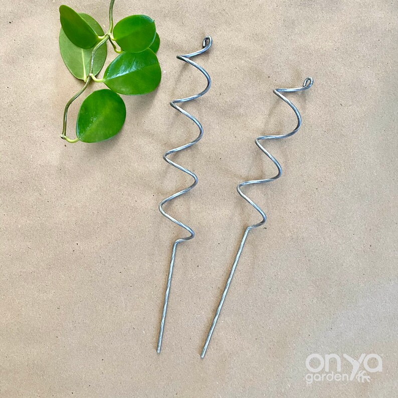 Steel Spiral Plant Sticks Plant Stem Supporters Set of 2 - Etsy