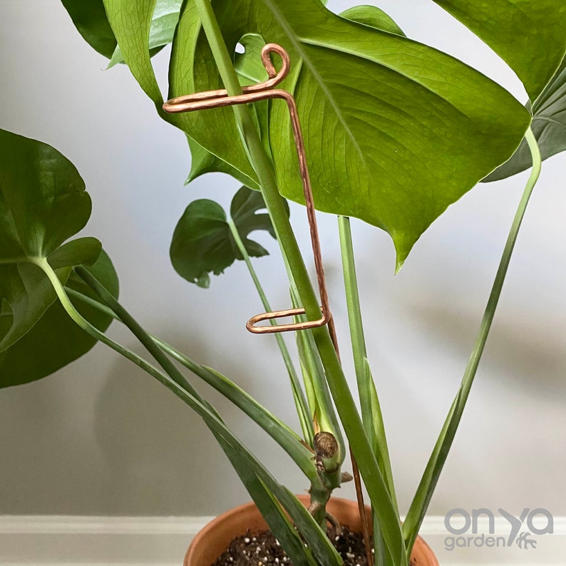 Long Plant Sticks Copper Large Plant Stick Decorative Plant - Etsy