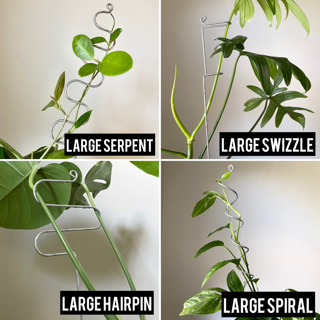 Steel Large Plant Stick Tall Plant Stakes Long Plant Stick - Etsy