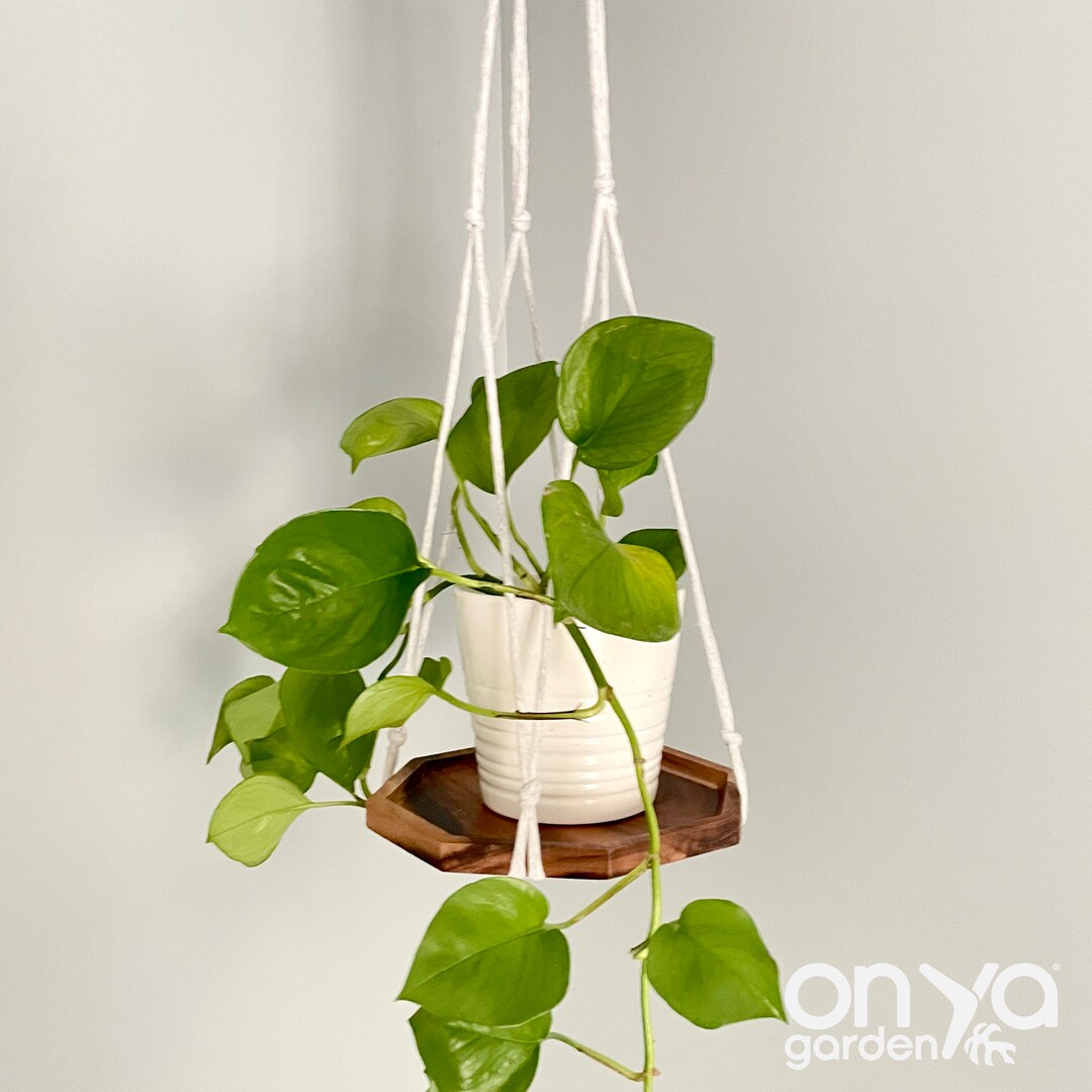 Modern Octagon Plant Hanging Shelf Hanging Plant Shelf - Etsy