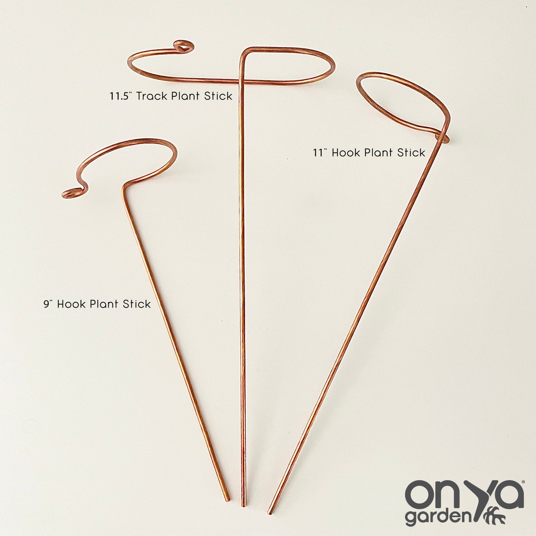Track & Hook Copper Plant Sticks, Modern Plant Stakes, Minimal Plant ...