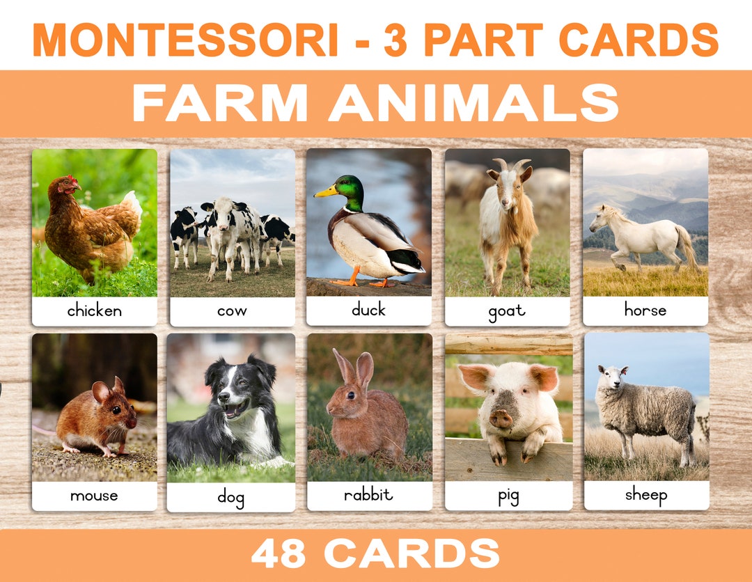 Farm Animals • Printable Flash Cards • 3 Part Cards • Montessori Cards ...