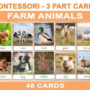 Farm Animals • Printable Flash Cards • 3 Part Cards • Montessori Cards ...