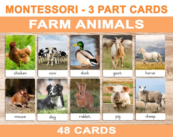 FOODS Printable Flash Cards 3 Part Cards Montessori Cards BONUS Letter ...