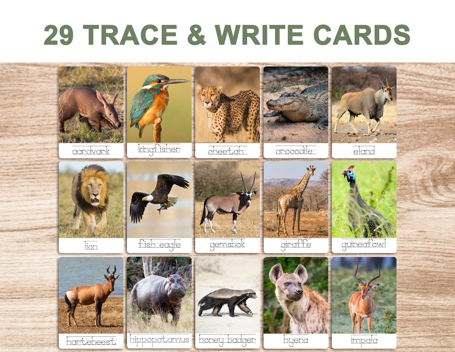 Safari Animals • Printable Flash Cards • 3 Part Cards • Montessori ...