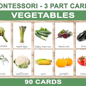 Vegetables • Printable Flash Cards • 3 Part Cards • Montessori Cards ...