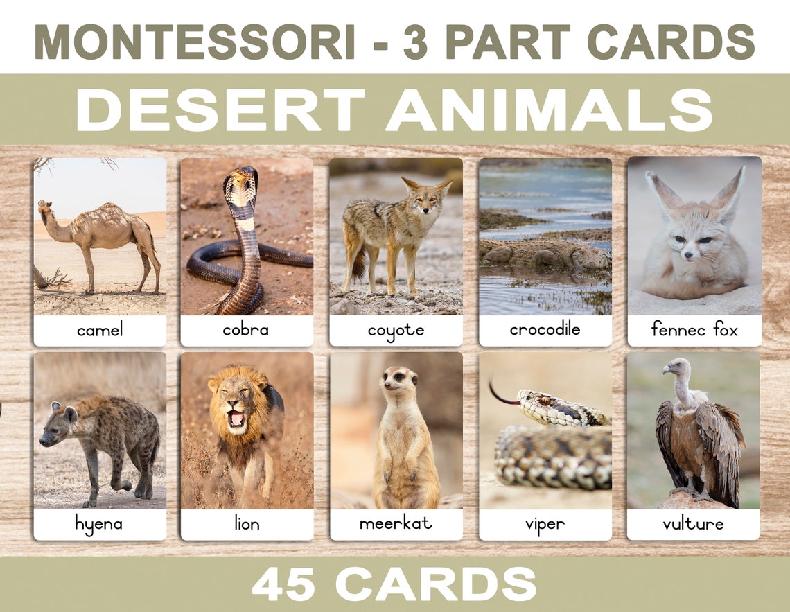 Desert Animals • Printable Flash Cards • 3 Part Cards • Montessori ...