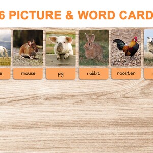 Farm Animals • Printable Flash Cards • 3 Part Cards • Montessori Cards ...