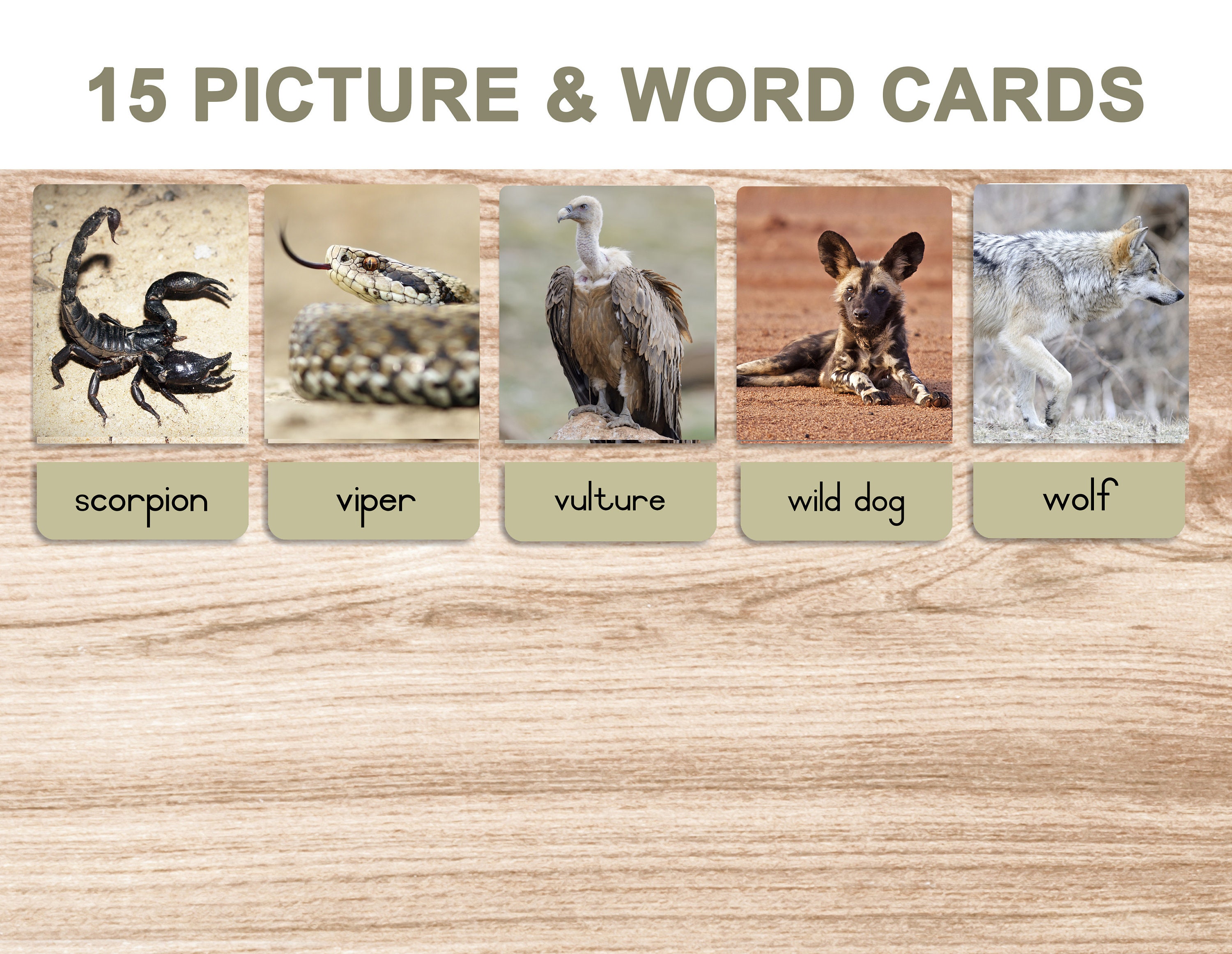 Desert Animals • Printable Flash Cards • 3 Part Cards • Montessori ...