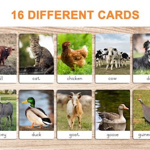 Farm Animals • Printable Flash Cards • 3 Part Cards • Montessori Cards ...