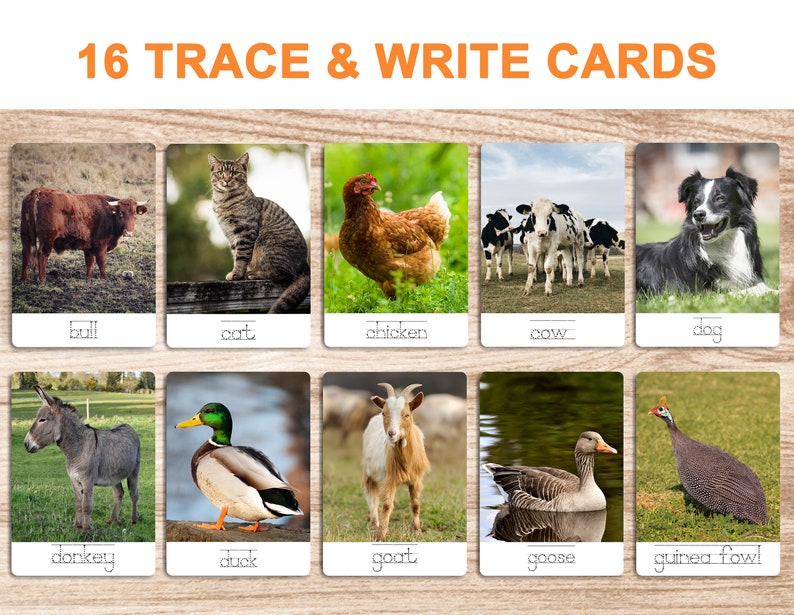Farm Animals • Printable Flash Cards • 3 Part Cards • Montessori Cards ...