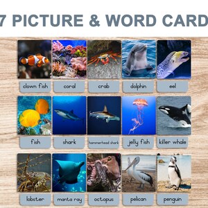 Sea Animals • Printable Flash Cards • 3 Part Cards • Montessori Cards ...
