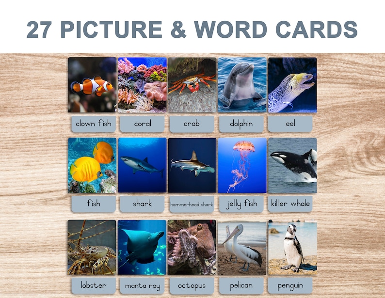 Sea Animals • Printable Flash Cards • 3 Part Cards • Montessori Cards ...