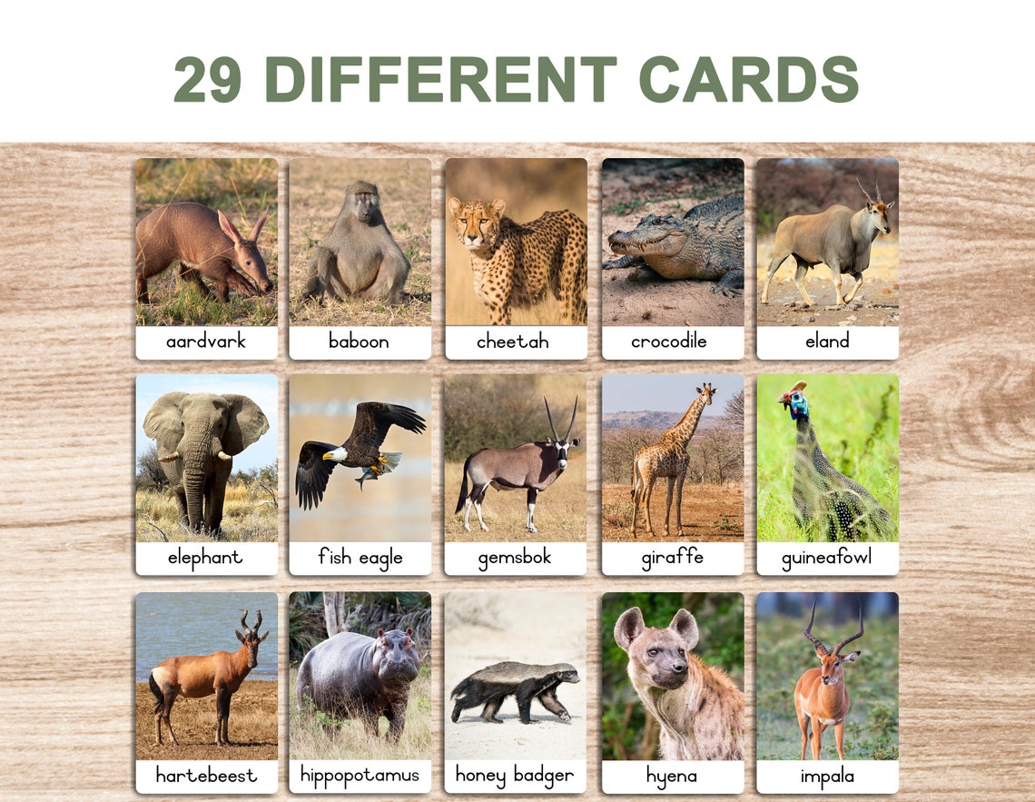 Safari Animals • Printable Flash Cards • 3 Part Cards • Montessori ...