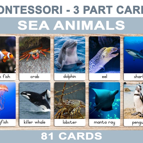 Sea Animals Printable Flash Cards 3 Part Cards - Etsy