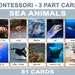 Sea Animals • Printable Flash Cards • 3 Part Cards • Montessori Cards ...