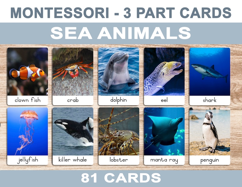 Sea Animals • Printable Flash Cards • 3 Part Cards • Montessori Cards ...
