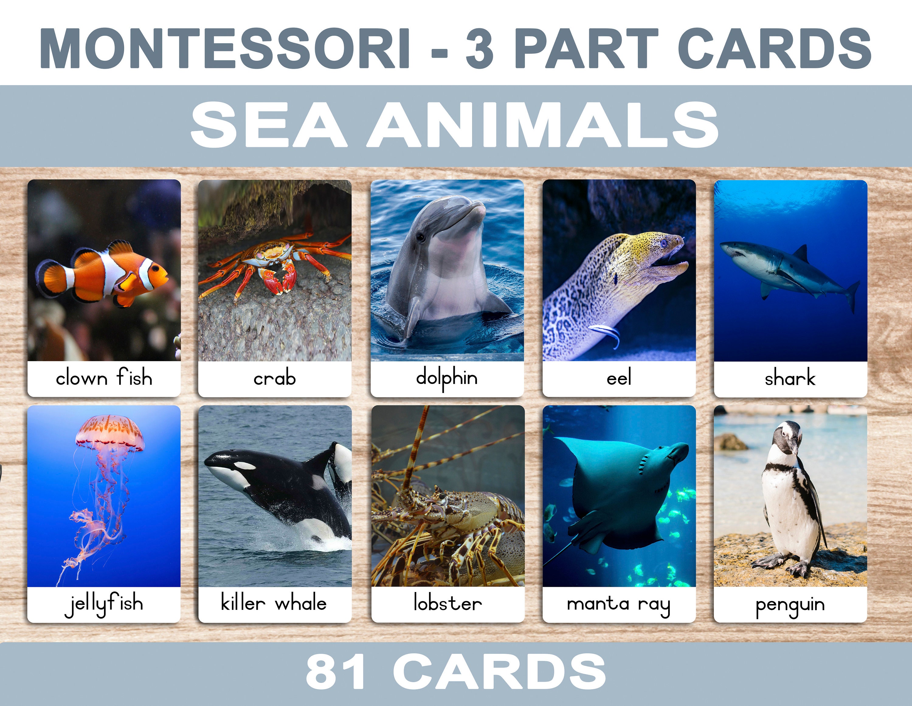 Sea Animals Printable Flash Cards 3 Part Cards Montessori Cards BONUS ...