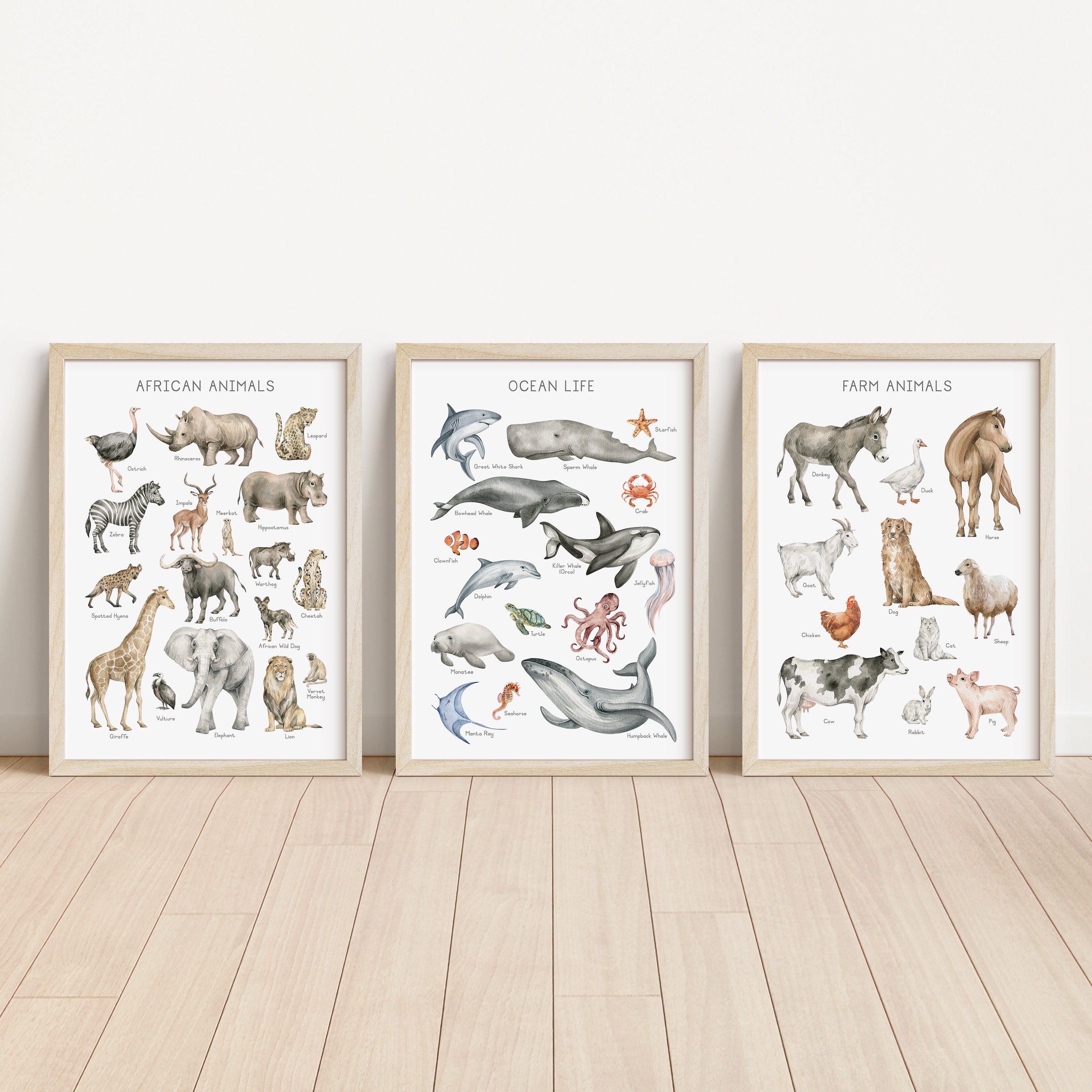 Set of 16 Educational Posters Blush, Classroom Decor, Homeschool Prints ...