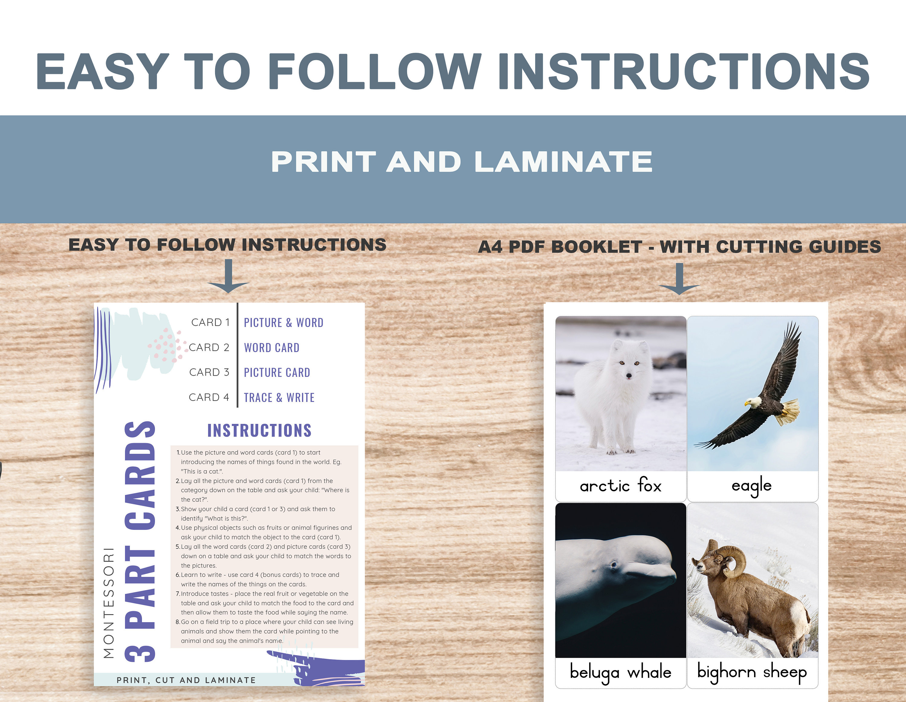 Arctic Animals • Printable Flash Cards • 3 Part Cards • Montessori ...