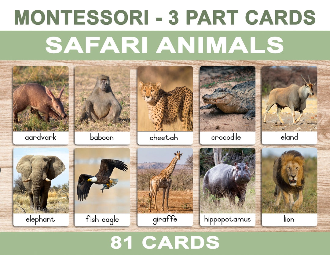 Safari Animals • Printable Flash Cards • 3 Part Cards • Montessori ...
