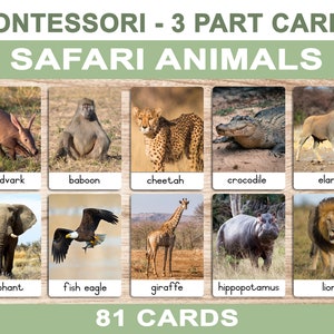 Safari Animals • Printable Flash Cards • 3 Part Cards • Montessori ...