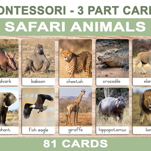 Safari Animals Printable Flash Cards 3 Part Cards - Etsy