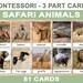 Safari Animals • Printable Flash Cards • 3 Part Cards • Montessori ...
