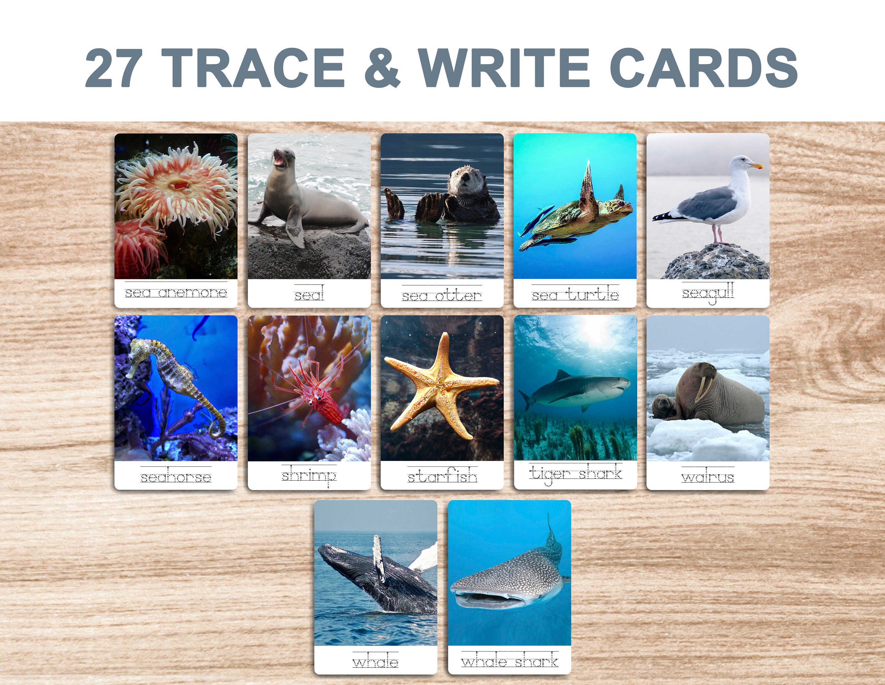 Sea Animals • Printable Flash Cards • 3 Part Cards • Montessori Cards ...