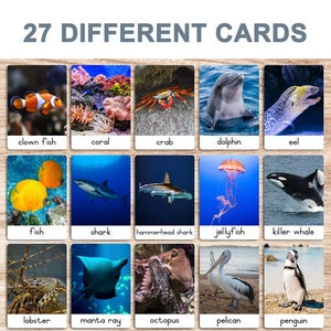 Sea Animals • Printable Flash Cards • 3 Part Cards • Montessori Cards ...