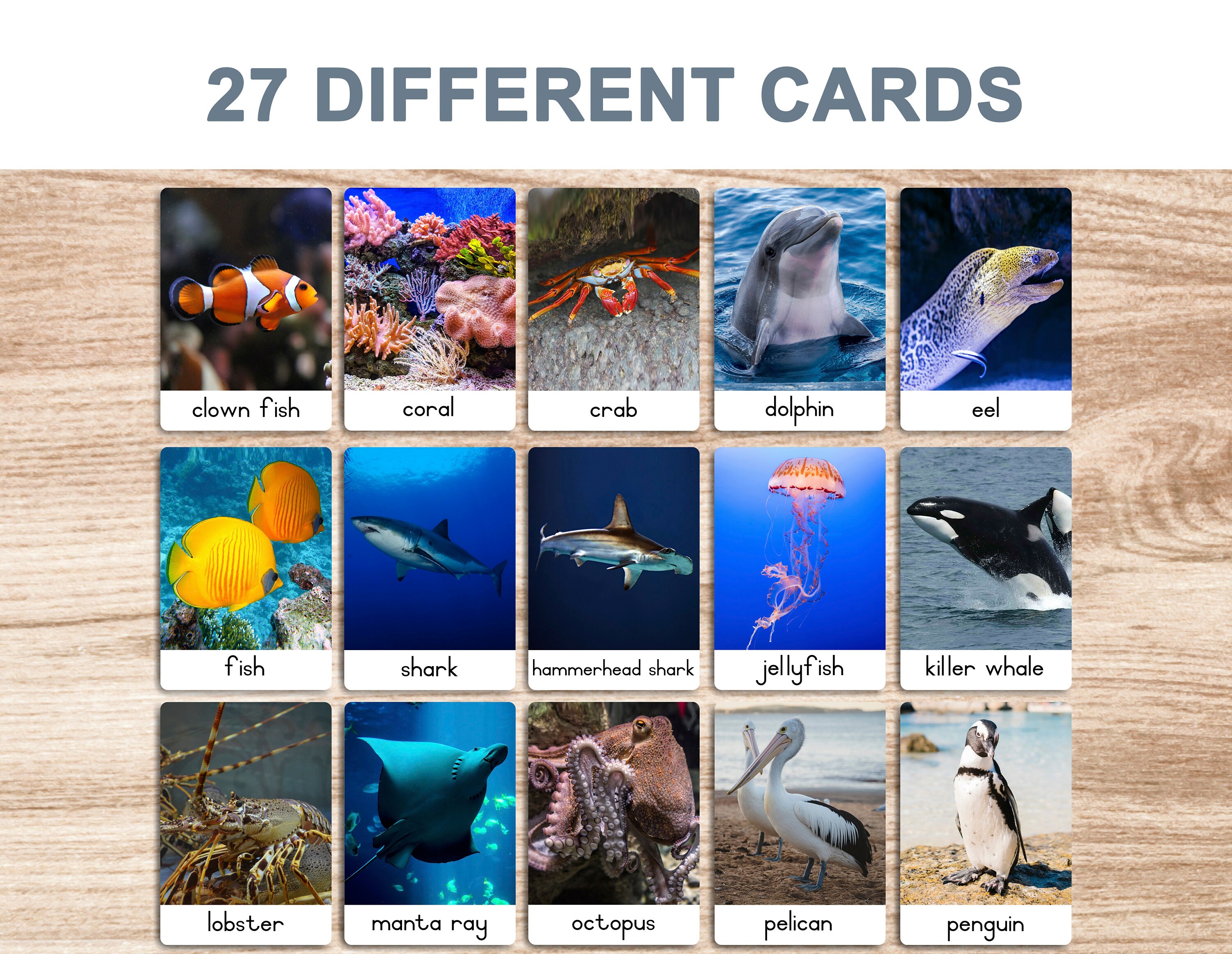 Sea Animals • Printable Flash Cards • 3 Part Cards • Montessori Cards ...