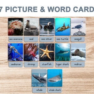 Sea Animals • Printable Flash Cards • 3 Part Cards • Montessori Cards ...